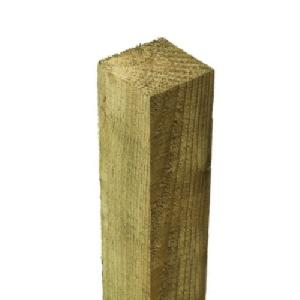 Fence posts, pressure treated timber