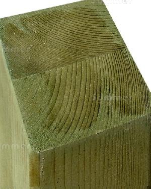 Fence posts, pressure treated timber